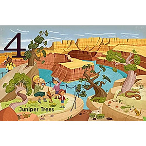 Trees: A Count and Find Primer (BabyLit)