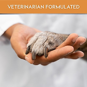 Aspen Green USDA Certified Organic Hemp Hip and Joint Chews for Dogs (Mobility) - Soft Dog Joint Supplement - (10mg Organic Hemp per 4g Chew - 30 Hemp Treats for Dogs per Bag) - Peanut Butter Flavor