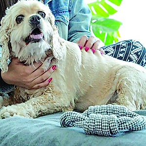 Paws & Pals Dog Chew Toys, Indestructible Cotton Braided Rope Toy, Best for Teething Puppy or Large Breed Aggressive and Heavy Chewers, Dogs Play Fetch, Heavy-Duty, Variety of Sizes & Styles