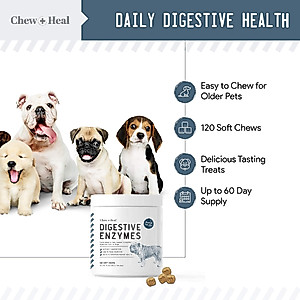 Digestive Enzymes and Probiotics and Cranberry UTI Support for Dogs - Supports Healthy Digestive Tract, Helps Nutrient Absorption - Healthy Urinary Tract and Bladder Function - 120 Soft Chews Each