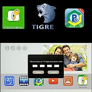 IPTV BRTV Brazil Tigre Box Renew Code One Year of TV Movies Channel Service Privileges Compatible with Tigre 2 3 4 / TG 3 4 TG Stick