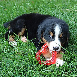 SmartPetLove Snuggle Puppy Teething Comfort Aid for Puppies - Naturally Soothe and Provide Relief with Ice (Heart Shaped)