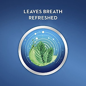 Crest Pro-Health Clinical Deep Clean Mint Oral Rinse 32 oz (Pack of 3)