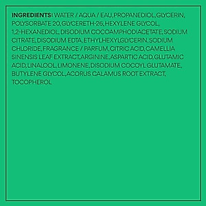 innisfree Green Tea Amino Acid Cleansing Water, Hydrating Micellar Water, Korean Skincare Makeup Remover, Dermatologist Tested (Packaging May Vary)