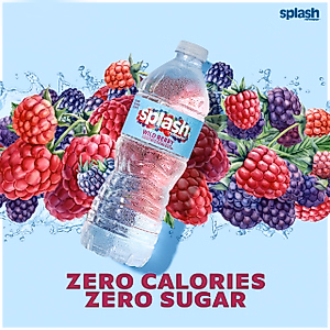 Splash Refresher, Wild Berry Flavor Water Beverage, 16.9 Fl Oz Plastic Bottles (24 Count)