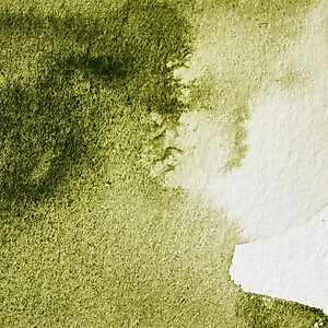 Winsor & Newton Professional Watercolor, 5ml (0.17-oz) Tube, Olive Green