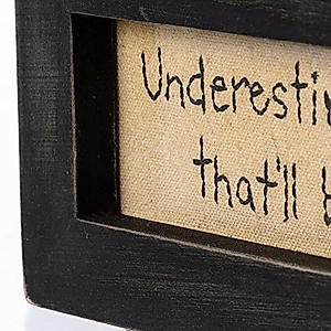 Stitchery - Underestimate Me That'll Be Fun