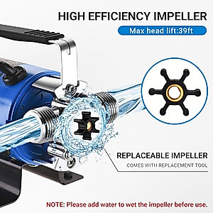 Water Transfer Pump: DEKOPRO Transfer Pump Electric Water Pump Utility Pump Rain Barrel Garden Hose Pump 115V