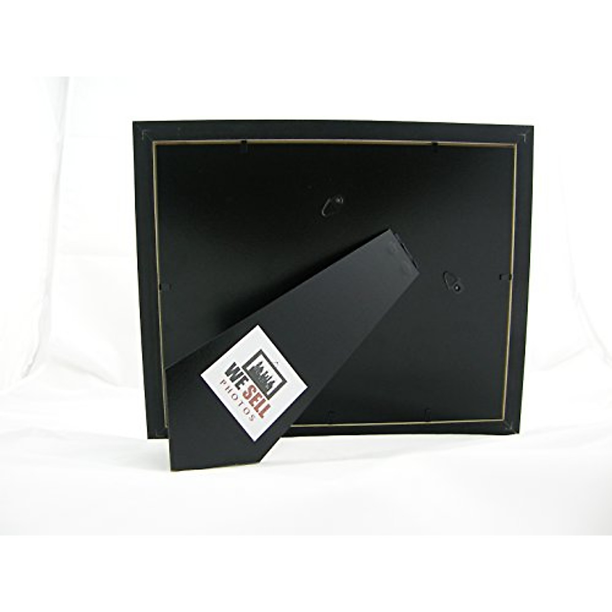 Theodore Teddy Roosevelt the Man in the Arena Quote 8x10 Framed Picture with Black Border