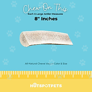 hotspot pets Split Elk Antlers for Dogs X-Large 8+ Inches- Premium Elk Antlers for Dogs 50+Lbs (2 Pack) Naturally Shed Antler Bone for Large Breed Aggressive Chewers -Sourced in USA