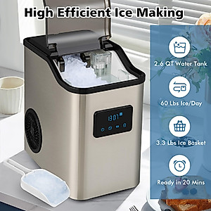 DORTALA Nugget Ice Maker Portable Ice Maker Countertop w/Self-Cleaning, 2 Ways Water Refill, 12H Appointment Function, 60 Lbs/24H, Stainless Steel Ice Machine for Home, Party, Bar, Office