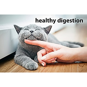 DrFormulas Nexabiotic Probiotics for Cats Powder | Treats Diarrhea for Pets with Saccharomyces Boulardii Lactobacillus Acidophilus, Best Probiotics Supplement for Digestive Health 30 Capsule