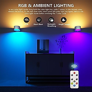 Deyagoo UP&Down Light Source LED Wall Sconce, Wall Mounted Lamps with Battery Operated, 4 Color Temp, Dimming, RGB&Ambience Lights, Removable Charging, Touch&Remote Control, Light for Reading Bedside