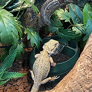 NEPTONION Reptile Chameleon Cantina with Snacks Trough, Drinking Fountain Water Dripper for Amphibians Insects Lizard Turtle Snake Spider Frog Gecko, Comes with Two Pumps (One for Replacement)