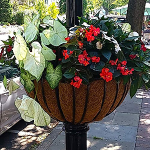 FDGARDEN 2PCS Round Replacement Coco Liner for Hanging Basket, 12 inch Coconut Fiber Plant Basket Liner for Garden Planter Flower Pot (12 inch Round)