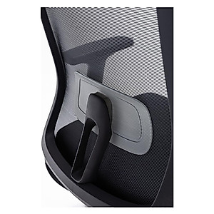 Whiterye Office Chair Lumbar Support Mesh Office Chair Swivel Desk Chair with Adjustable headrest and Armrest Ergonomic High Back Office Chair,Black.