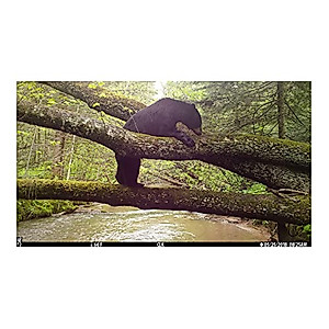 Browning Trail Cameras Strike Force Pro X 20MP Game Camera (10-Pack) Bundle with 32GB Memory Cards (20-Pack) and Card Reader (31 Items)