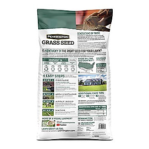 Pennington Kentucky 31 Tall Fescue Grass Seed 20 lb