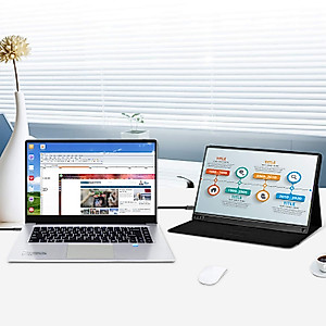 Portable Monitor and Laptop Stand Bundled