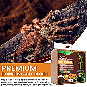 ReptiCasa Compressed Coconut Fiber Substrate, 10 lb. Block, Natural Husk Terrarium Bedding, Reptiles, Frogs, Snakes, or Tortoise, Odor and Waste Absorbent Compostable, Organic with High Expansion