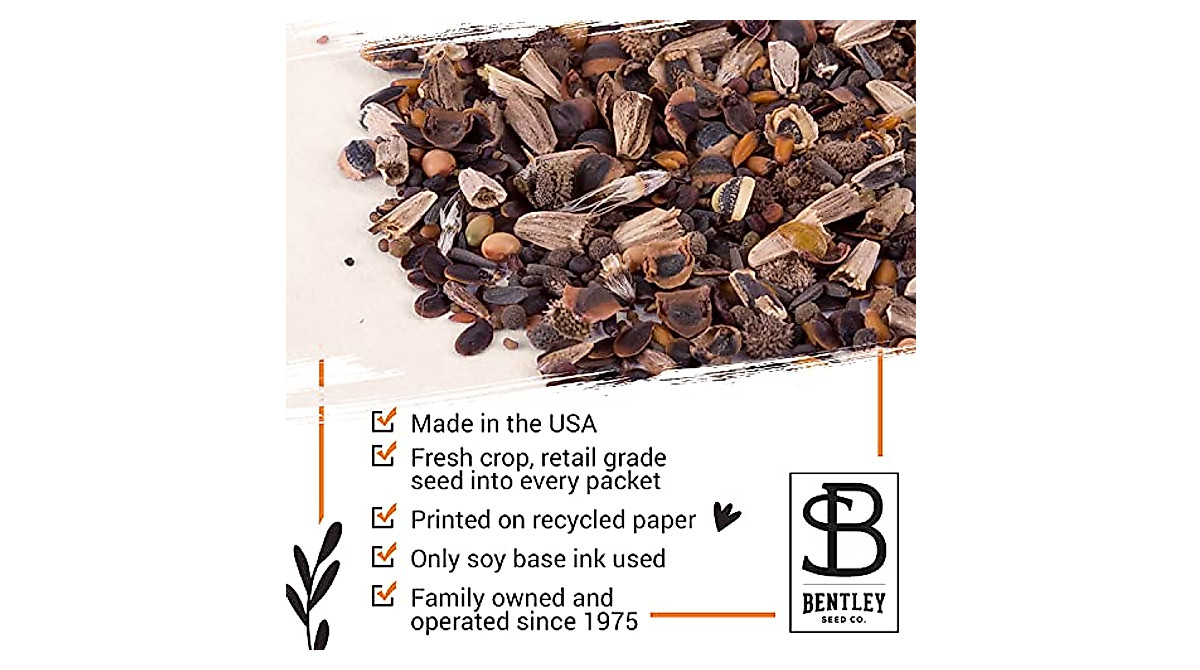 Bentley Faith Mustard Seed Packets | Garden & Party Favors