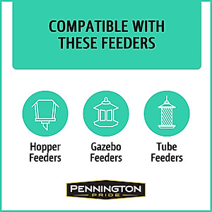 Pennington Pride Wild Finch Blend, Wild Bird Seed for Outside Feeders, Special Mix for a Variety of Musical & Colorful Birds, Great to Feed Year-Round, 10-lb. Bag