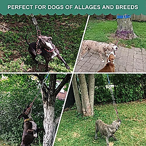 HOPET Dog Outdoor Bungee Solo Hanging Toy, Tether Tug of War Dog Toys for Pitbull Small Large Aggressive Chewers Dogs to Exercise, Durable Interactive Dog Tug Toy with Metal Spring Kit, Dog Rope Toys