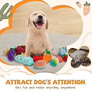 QTwoof Charming Chorus-20 Pack Squeaky Dog Toys Set, Plush Puppy Toys with Irresistibly Cute Characters for Small Dogs, Interactive Dog Squeak Toys for Dog Fun&Teeth Cleaning