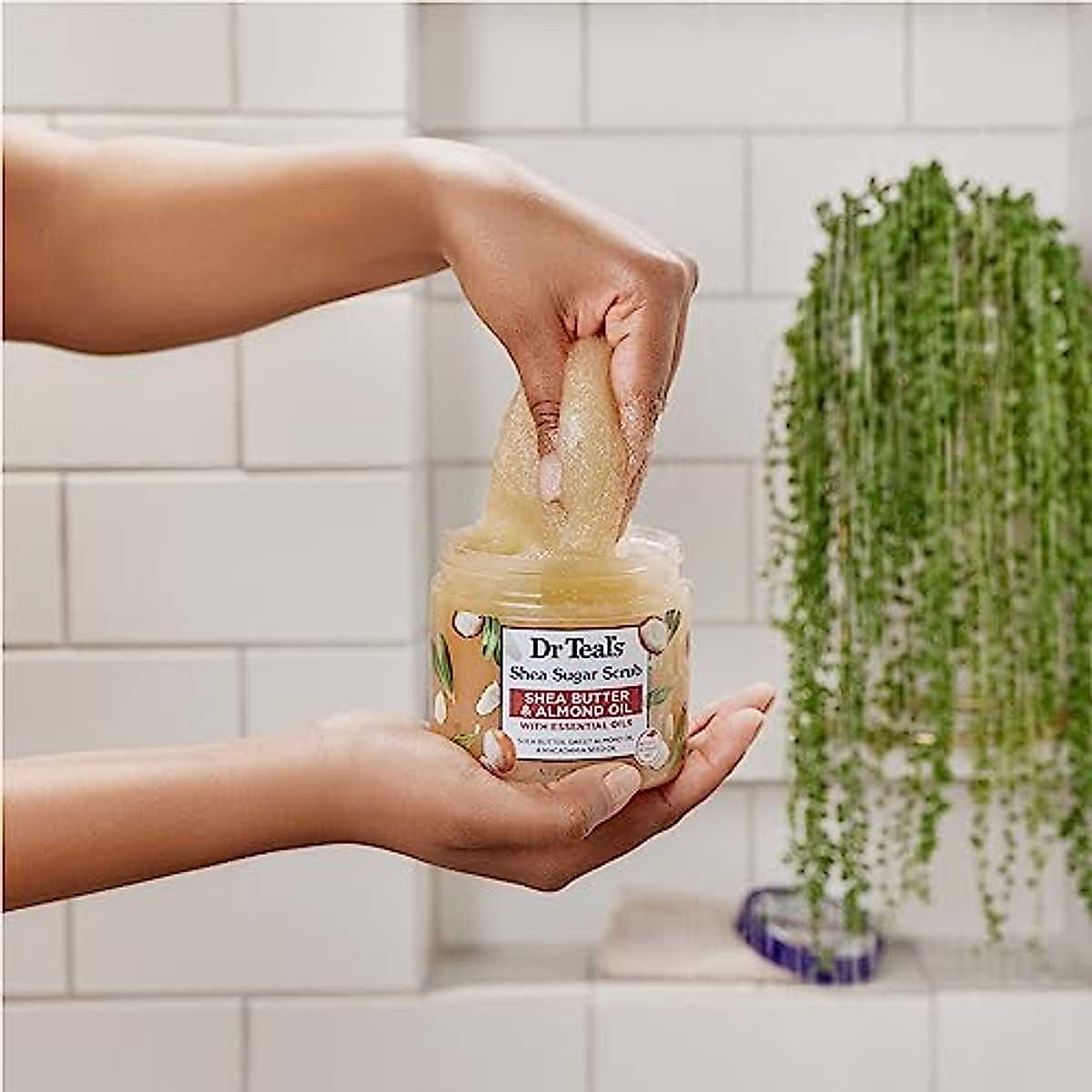 Dr Teal's Shea Sugar Body Scrub, Shea Butter with Almond Oil & Essential Oils, 19 oz (Pack of 3) (Packaging May Vary)