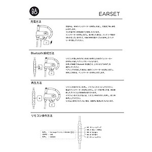 Bang & Olufsen Earset - Premium Wireless Earphones, Graphite Brown