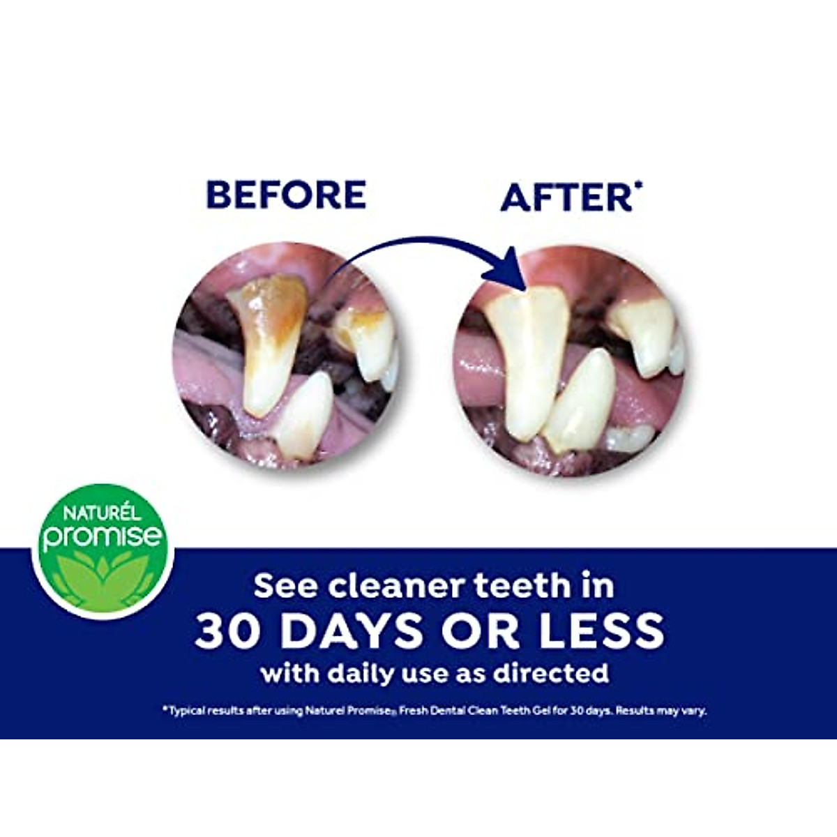 Naturel Promise Fresh Dental Clean Teeth Gel, 4 Fl Oz - Easy to Use Pet Dental Gel That Helps Remove Plaque, Tartar, and Freshen Breath-No Brushing Pet Oral Care for Dog Dental Care, Cat Dental Care