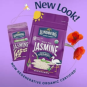 Lundberg Jasmine Rice, Regenerative Organic Certified – Non-Sticky, Aromatic Long-Grain White Rice, Responsibly Grown in California, 32 Oz