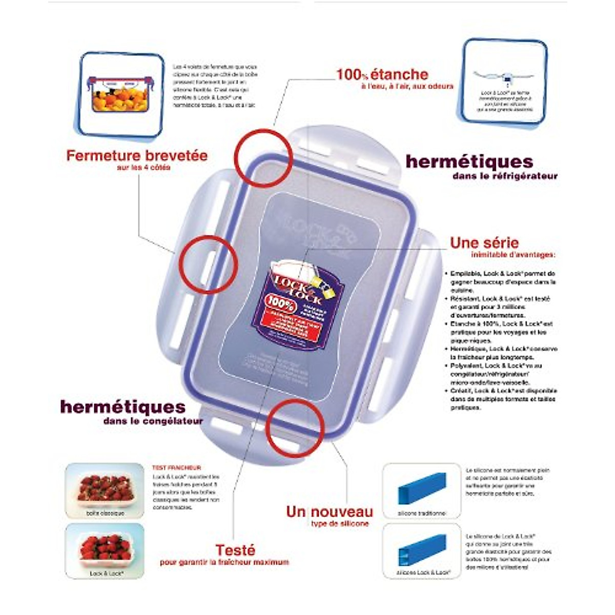 Lock & Lock Eggs Dispenser, Holder for 12 Eggs (3) (Original Version)