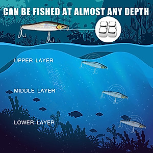 TRUSCEND Pencil Fishing Lures with BKK Hooks, Quake Sinking Floating Pencil Popper, Trembling Sinking Dog Walker for Freshwater and Saltwater, Long-Cast Topwater Fishing Lures, Bass Pike Fishing