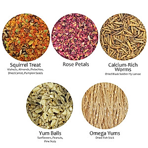 Squirrel Treat Bundle - Natural Healthy Assortment - Fruits, Veggies, Nuts, & Chews - Flying Squirrels, Ground Squirrels, Tree Squirrels, Chipmunks, Groundhogs, Prairie Dogs & Other Rodents