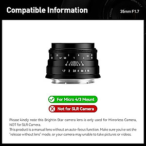 Brightin Star 35mm F1.7 Wide-Angle Manual Focus Prime Lens for Panasonic Olympus Micro 4/3 Mirrorless Cameras, MFT APS-C Large Aperture, Fit for LUMIX G7, G7KS, GX85, GX9, G95, GH5, GH6, G100, G9