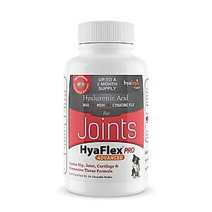 Hyalogic Pro Advanced HyaFlex for Dogs – Amazing Joint Support Supplement for Your Buddy – 30 Beef Flavored Wafers - Dog Joint Supplement w/Hyaluronic Acid, Glucosamine, MSM & Cynatine (30 Tablets)