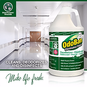 OdoBan Professional Disinfectant and Odor Eliminator Concentrate, 1 Gallon, Original Eucalyptus Scent