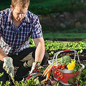Collapsible Basket-Space Saving Pop Up Handbasket for Supplies, Dishes, Drinks, and More-Foldable Multiuse Carrying/Storage Bin by Lavish Home (Red)