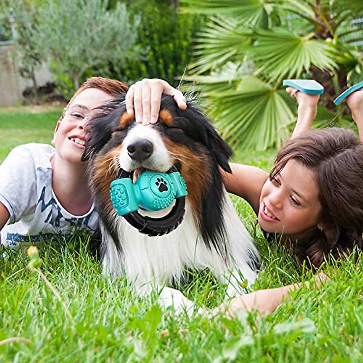 Dog Toys for Aggressive Chewers, Squeaky Tough Dog Chew Toys for Large Medium Small Dogs, Indestructible Durable Nylon and Natural Rubber Dog Teething Toy with Milk Flavor