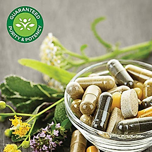 Swanson Pycnogenol - Super Strength 150 mg 30 Veg Caps 4 Pack