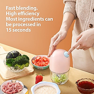 Baby Food Maker, Small Baby Food Processor Kits for Fruit, Vegetable, Meat, Baby Food Puree Blender, Baby Food Chopper Feeding Essentials for Baby Shower Gifts (Pink)