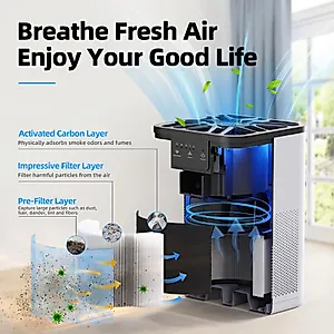 AROEVE Air Purifier with Three Filter(One Basic Version & Two Pet Dander Version)