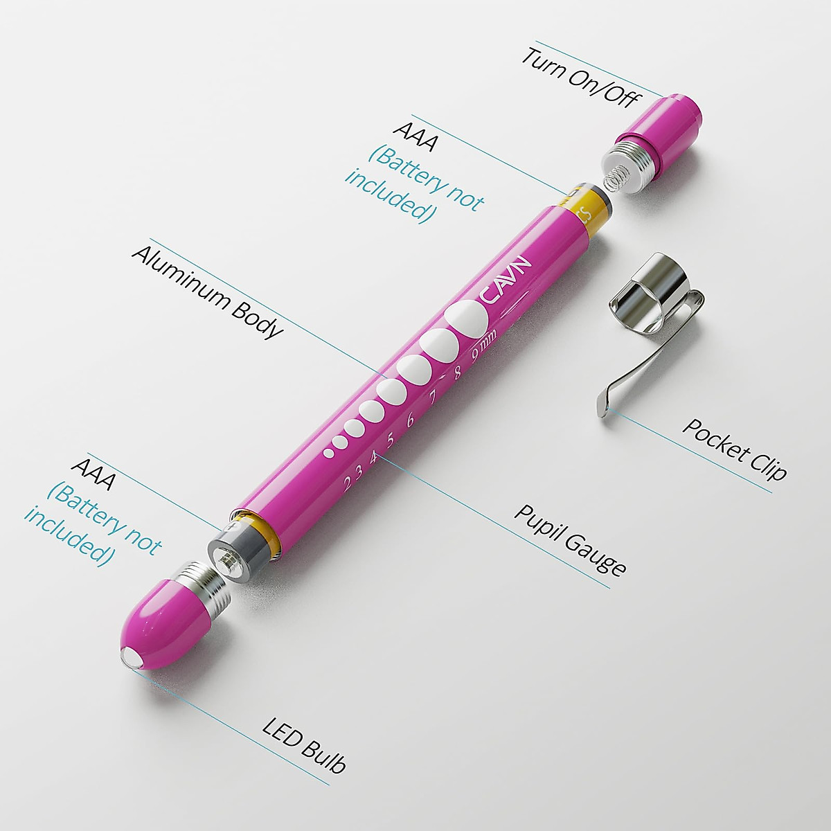 CAVN Pen Light with Pupil Gauge LED Penlight for Nurses Doctors, 2 Pcs Reusable Medical Penlight for Nursing Students (Purple/Pink)