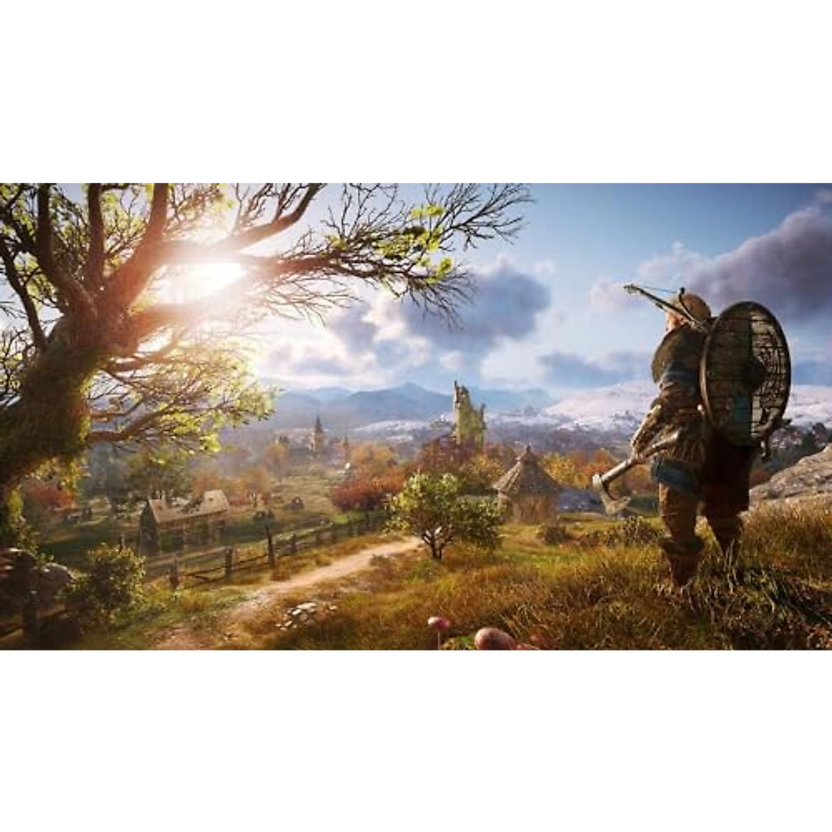 Assassin's Creed: Valhalla (PS4)