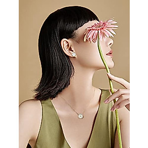 Gold Zodiac Sign Pendant Necklace, 14K Gold Plated Faux Fritillaria Cubic Zirconia 12 Constellation Necklace Jewelry Birthday Gifts for Women, (Taurus Apr 20-May 20)