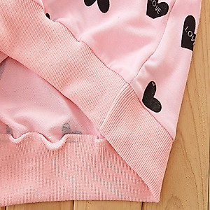 Little Girl Clothes Infant Outfits Set 2 Pieces Long Sleeved Tops and Pants (Pink, 2-3 T)