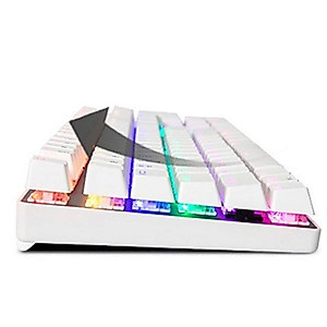 HANSUNG COM Gtune GK360 Quick SWAP Switch Mechanical Custom Gaming Keyboard Rainbow LED NKEY-Rollover (English/Korean Layout) Blue Switch Click (White)