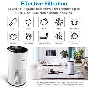 LEVOIT Air Purifier Replacement Filters Set with Activated Carbon | HEPA