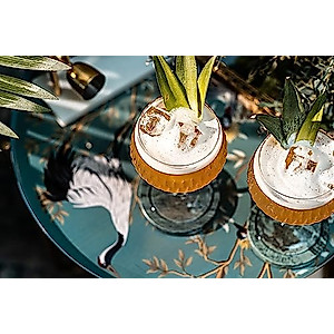 Vintage Flamingo Belle Coupe Glasses for Cocktails and Champagne | Tropical Chic Glassware Collection | Set of 4 | 12 oz Crystal Retro Style Stemmed Saucers for Elegant Bar Drinks